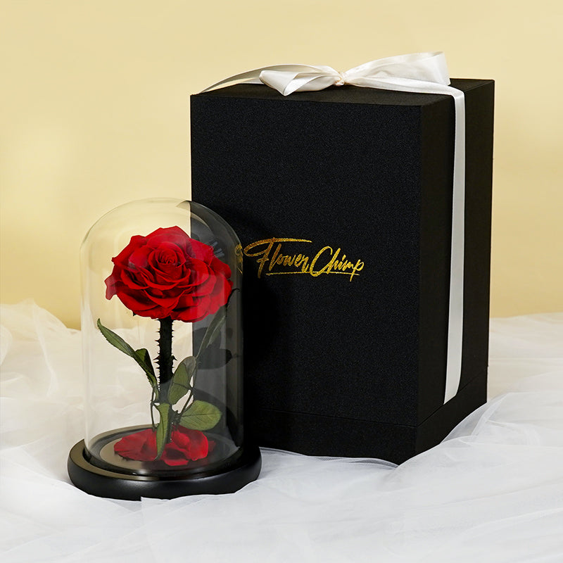 Preserved Flowers Singapore | Everlasting Roses | Same-Day Delivery